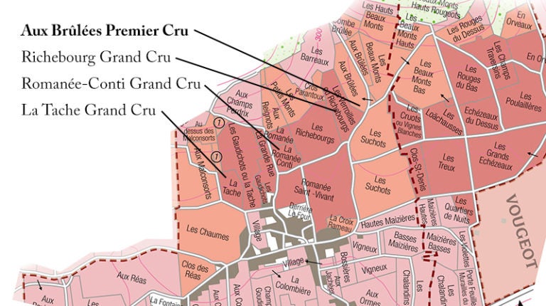Five Vintages of “Simply Terrific” Vosne-Romanée 1er Cru: 2005-2015 ...
