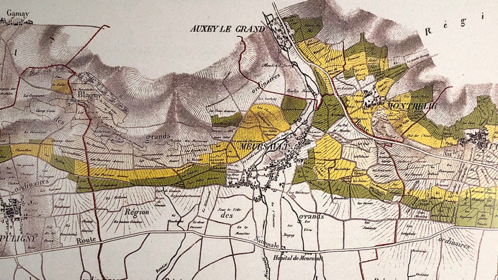 A Trio of Legendary Meursault: 90-94 points - Ansonia Wines