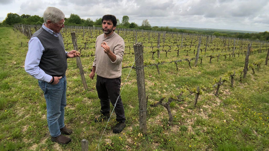 New Dry Chenin Blanc: an Organic Symphony of Fruit and Spice - Ansonia ...