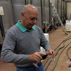 Winemaker - Ansonia Wines